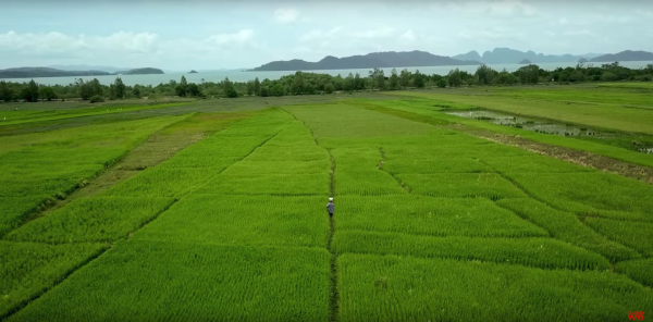 เมื่อแร็ปเปอร์เจอหมอลำ ใน “KAOW MA (เข้ามา)” DABOYWAY feat. อังคนางค์ ...