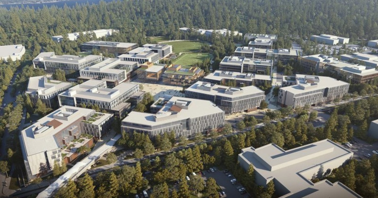 โกโก้กับประโยชน์ต่อสุขภาพสมอง และความจำ - BT beartai