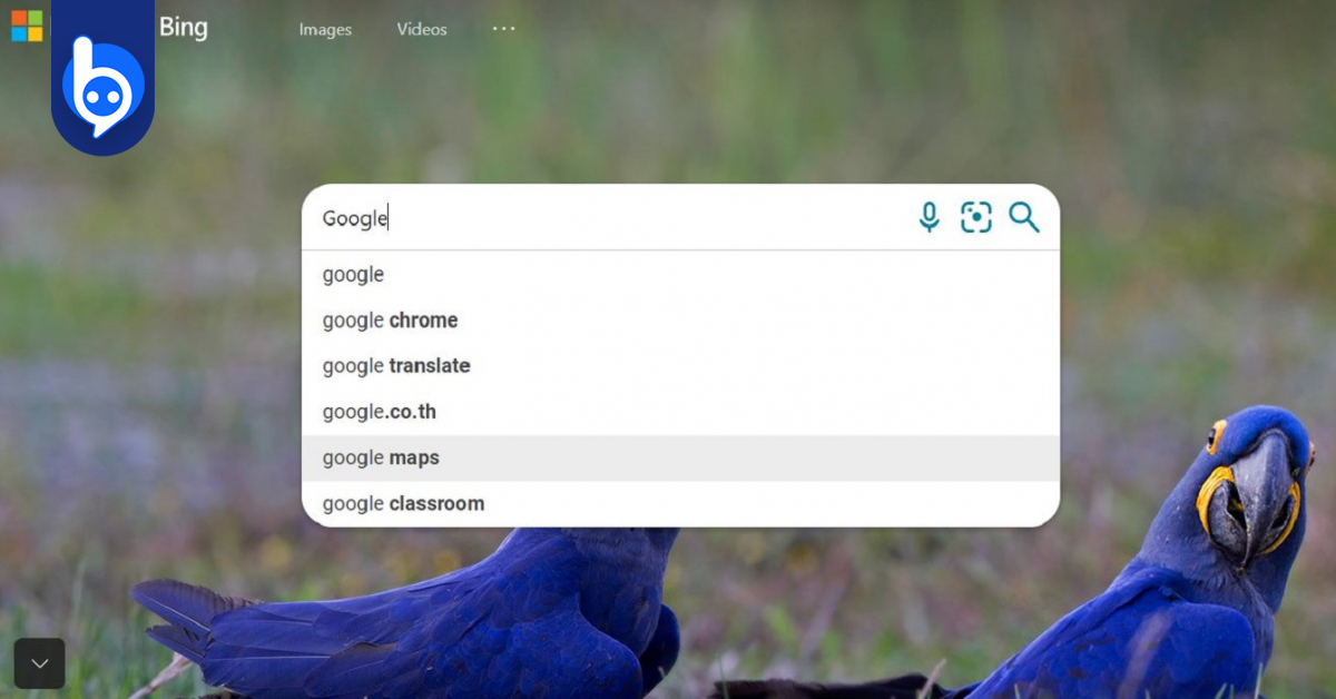 Google เผยคำที่ถูกค้นหามากที่สุดใน Bing คือคำว่า "Google" - BT beartai